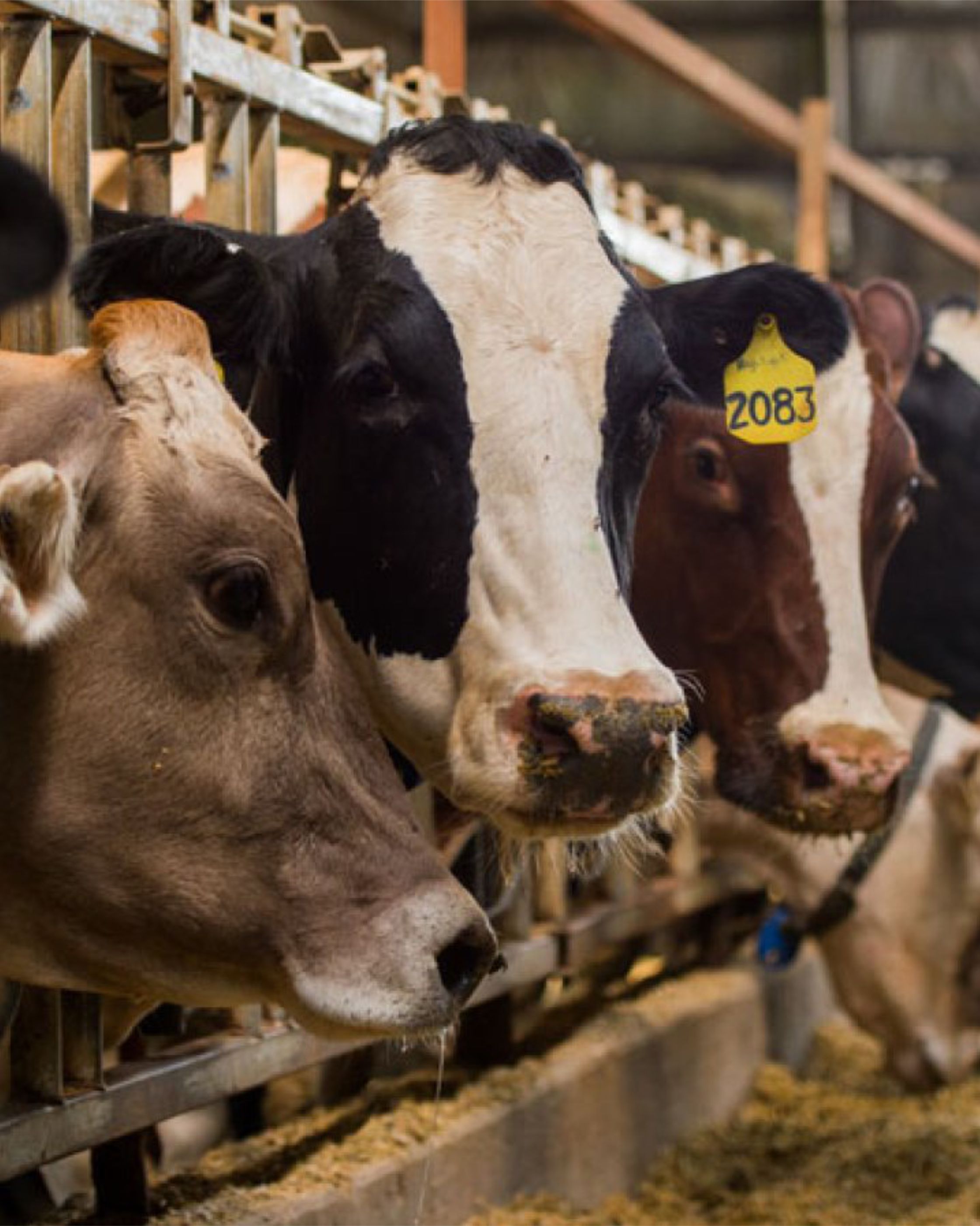 South Dakota Governor's Ag Summit